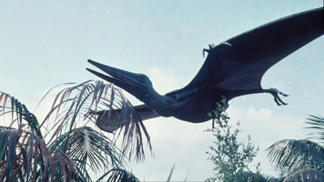 Pterodactyl Noise Meme Sound Effect - Voicy