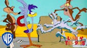 Official Road Runner Soundboard - Voicy