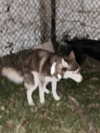 fd Meme Sound Effect - Voicy