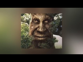 wise mystical tree Meme Sound Effect - Voicy