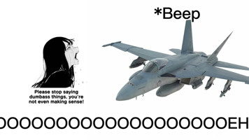 stop saying dumb ass things *f18 sounds* Meme Sound Effect - Voicy