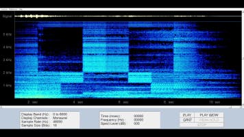 cave14.ogg (cave sound with creeper spectrogram) Sound Clip - Voicy