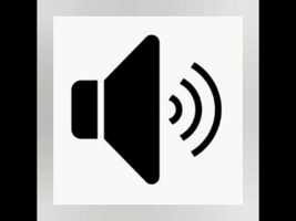 rizzl Meme Sound Effect - Voicy