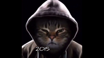 trt Meme Sound Effect - Voicy