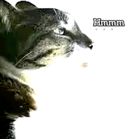 Hmm Meme Sound Effect - Voicy