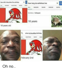 Oh No Knuckles Meme Meme Sound Effect - Voicy