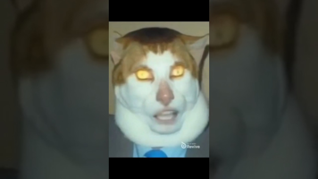 funny memes Meme Sound Effect - Voicy