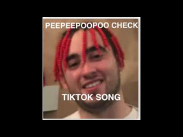 PEEPEEPOOPOO CHECK (FULL TIKTOK SONG) Meme Sound Effect - Voicy