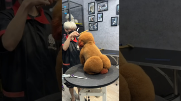 that dog got a gyat Meme Sound Effect - Voicy