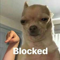 niger Meme Sound Effect - Voicy