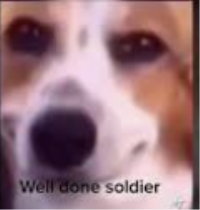 well done soldier Meme Sound Effect - Voicy