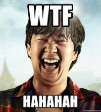 HAHAHA WTF WAS THAT! Meme Sound Effect - Voicy