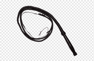 Lustful Whip Meme Sound Effect - Voicy