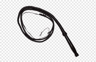 Official Whip Sound Effects Soundboard - Voicy