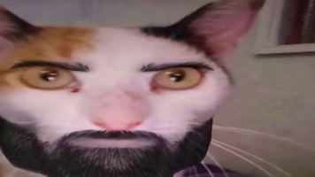 hi Meme Sound Effect - Voicy