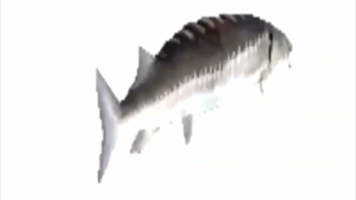 Fish Meme Sound Effect - Voicy