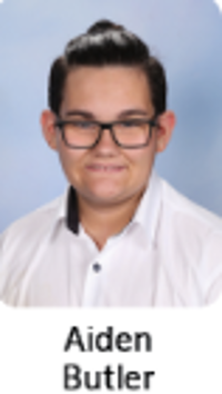 Aiden b is the beast Meme Sound Effect - Voicy