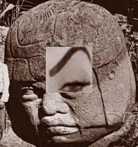 identificate cabeza de monda Meme Sound Effect - Voicy