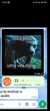 lobo pidao Meme Sound Effect - Voicy