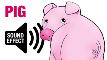 Oink Meme Sound Effect - Voicy