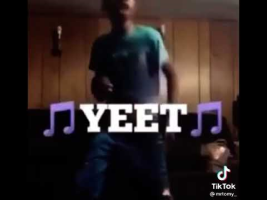 Yeet Meme Sound Effect - Voicy