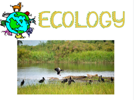 Heyyyyyyy Meme Sound Effect - Voicy