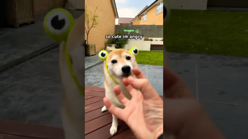goofy ahh scream Meme Sound Effect - Voicy