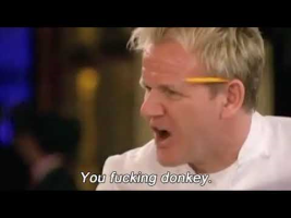 YOU FUCKING DONKEY GORDON RAMSAY Meme Sound Effect - Voicy