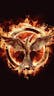 Official The Hunger Games Soundboard - Voicy
