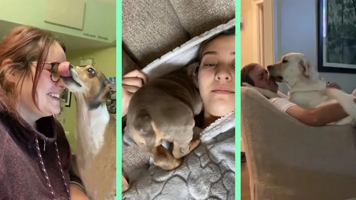 I'm just gonna scooch in here Meme Sound Effect - Voicy