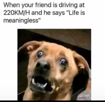 shiiii Meme Sound Effect - Voicy