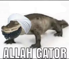 Waaa Sounds and Sound Effects - Voicy