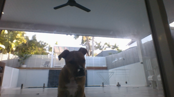 lets buki Meme Sound Effect - Voicy