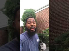 my names deez Meme Sound Effect - Voicy