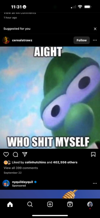 maga country jessie smollet Meme Sound Effect - Voicy