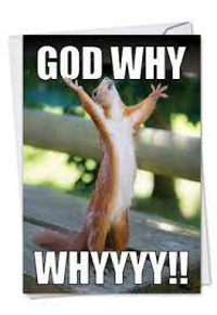 whyyyyyyy Meme Sound Effect - Voicy