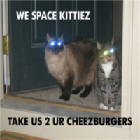 FBI OPEN UP! Meme Sound Effect - Voicy