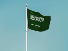 dodo Meme Sound Effect - Voicy