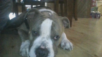 4 Big Guy Meme Sound Effect - Voicy