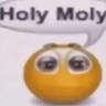 holy moly Meme Sound Effect - Voicy