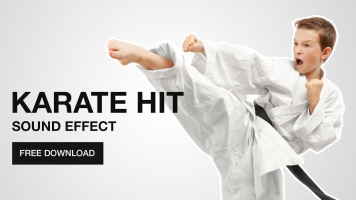 Karate hit Meme Sound Effect - Voicy