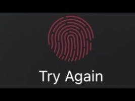 Official Payment Soundboard - Voicy