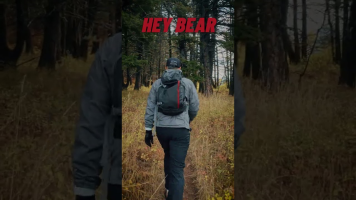 Hey Bear (Funny Nate Bargatze Bear Callout Compilation) Meme Sound ...