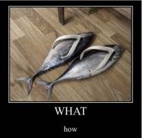 What how meme Meme Sound Effect - Voicy