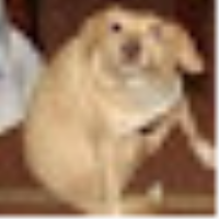 *LOUD* BOI Meme Sound Effect - Voicy