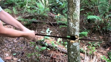 cutting down a tree with a machete Meme Sound Effect - Voicy