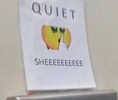 Sheeeee Meme Sound Effect - Voicy