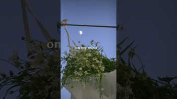 Sunroof🌄 Meme Sound Effect - Voicy