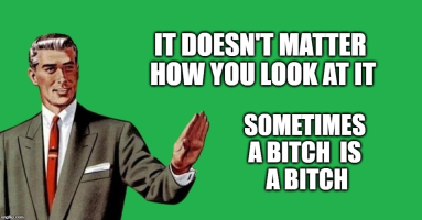 BIIITCH! Meme Sound Effect - Voicy