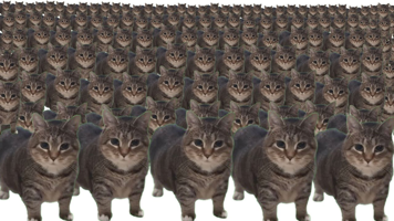 Oiia oiia cat Meme Sound Effect - Voicy